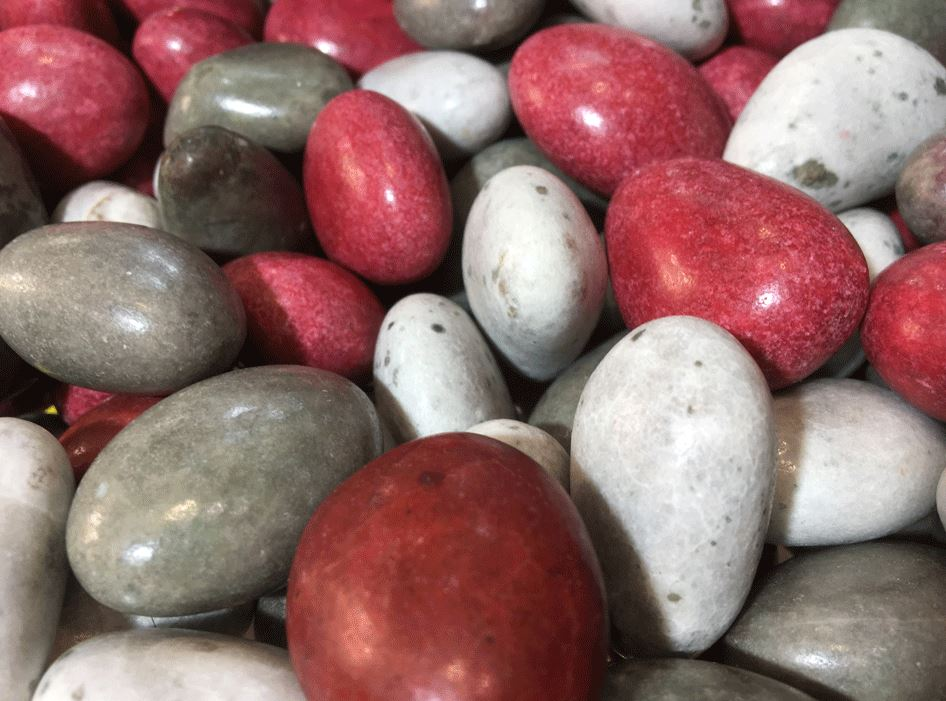 SPÉCIALITÉS NIÇOISES & DE PROVENCE – Maison Canel